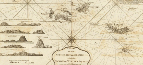 Why the Azores Are Called the Azores: The Goshawk Story - Drive Terceira